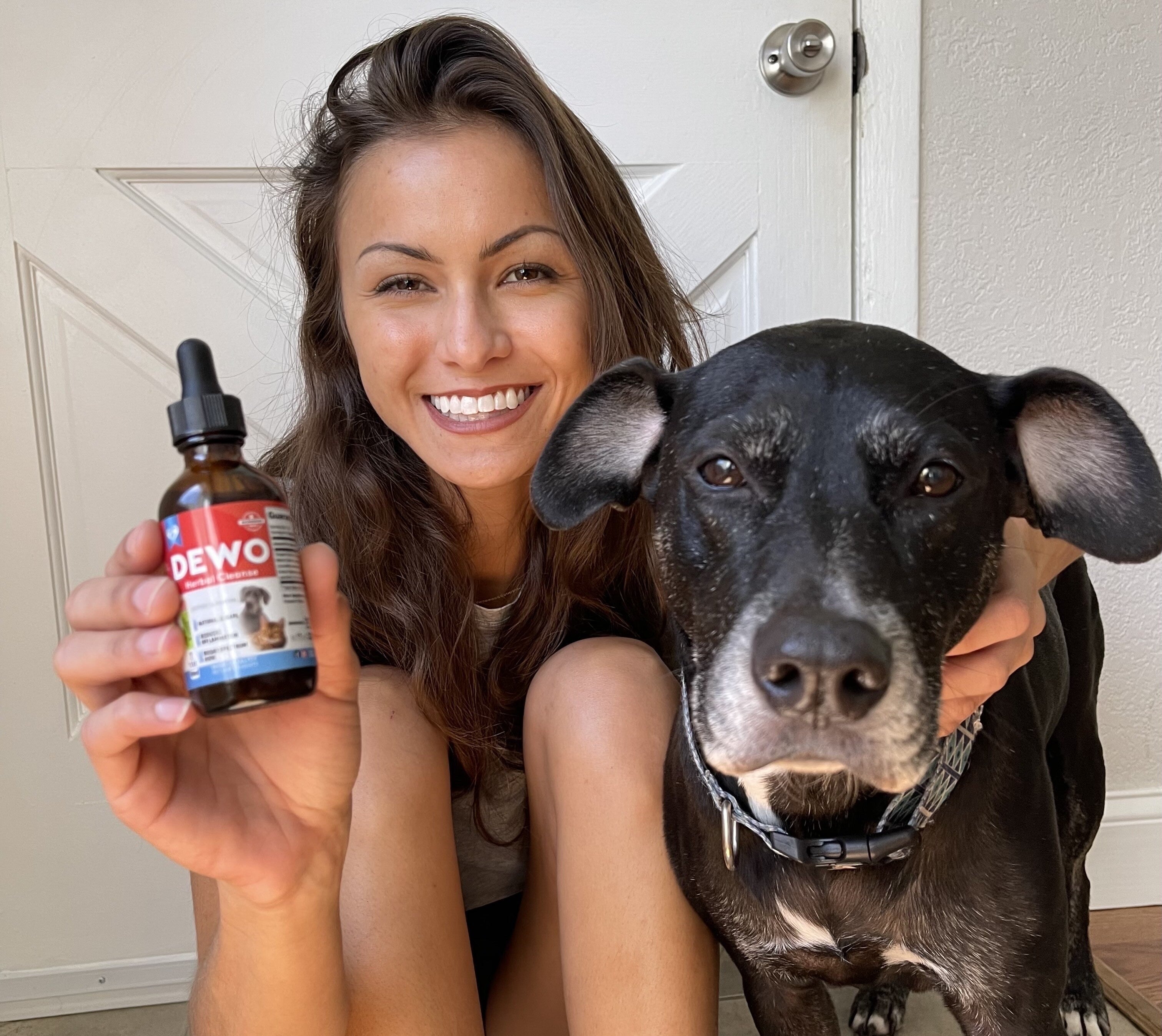 The Benefits of Liquid Dew for Dogs: A Natural Boost to Your Dog’s Hea ...