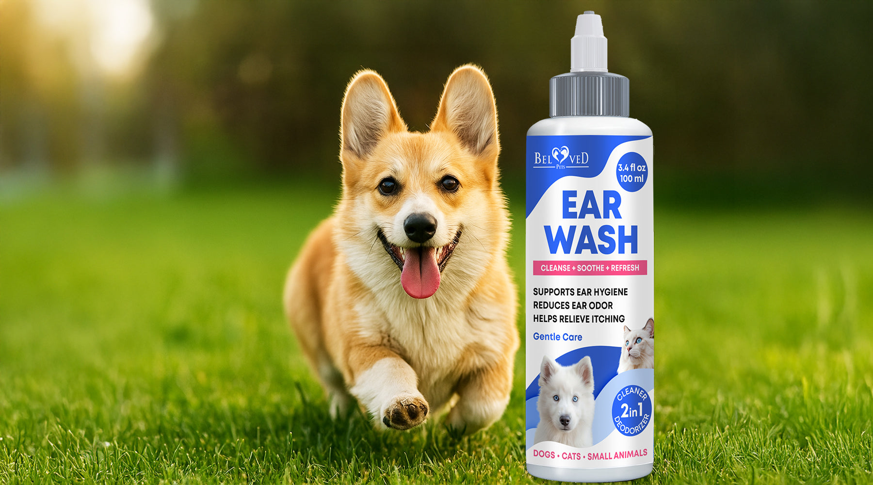 Why Regular Ear Cleaning Is Essential for Dogs & Cats – Belovedpetsbrand