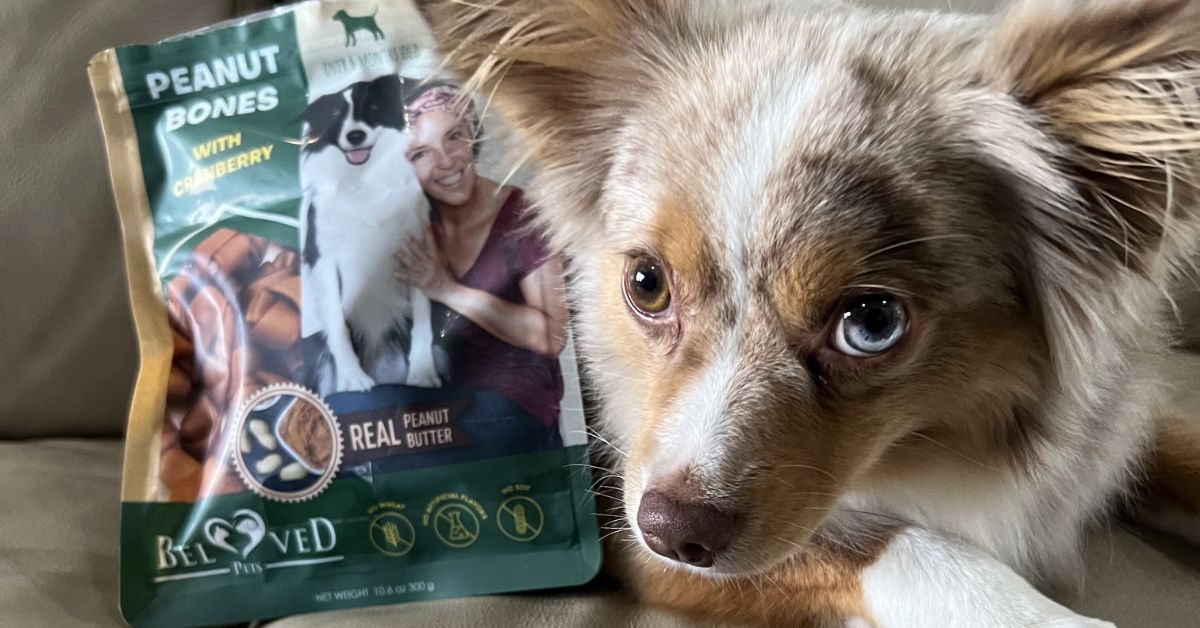 Flavor Variety for Treat Rotation – Belovedpetsbrand