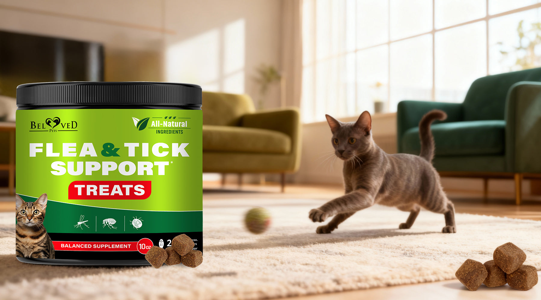 Tiny Chew, Mighty Protection: Daily Defense for Cats of All Ages ...