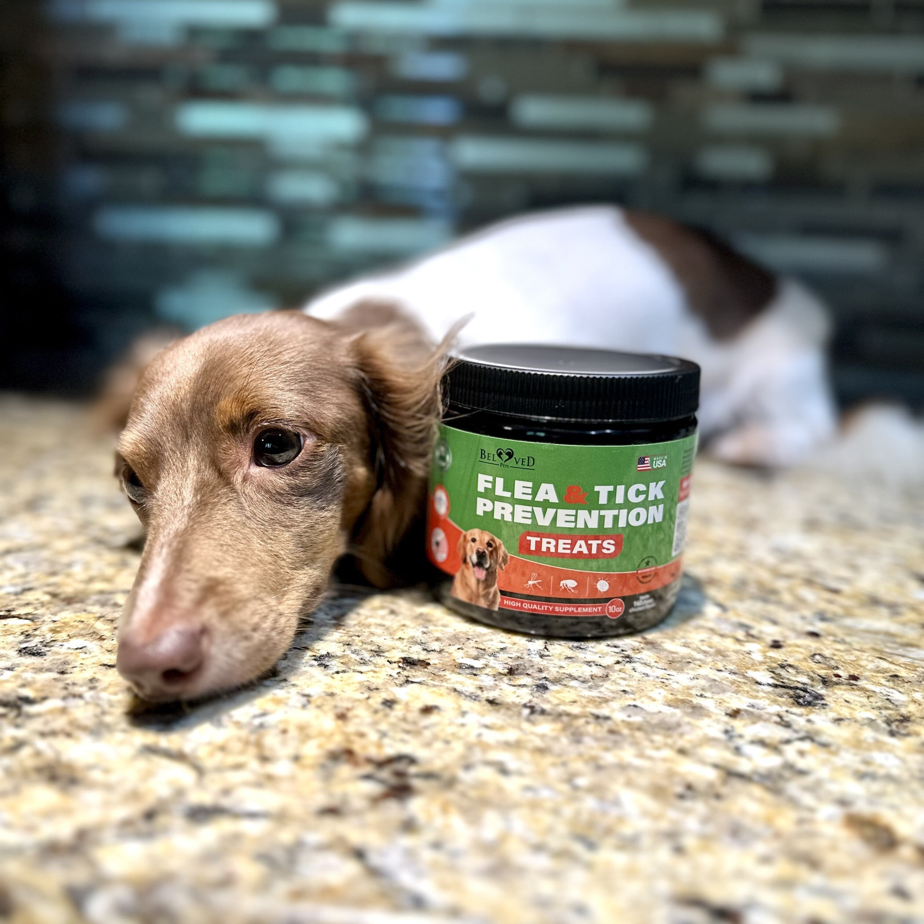 Why Flea and Tick Drops for Dogs Are Essential in Autumn – Belovedpetsbrand