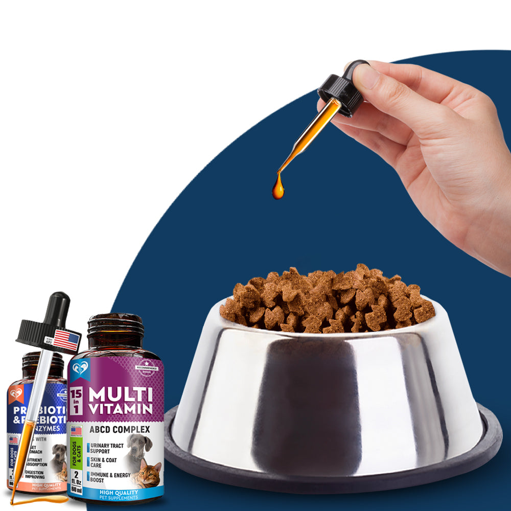 Liquid Supplements – Belovedpetsbrand