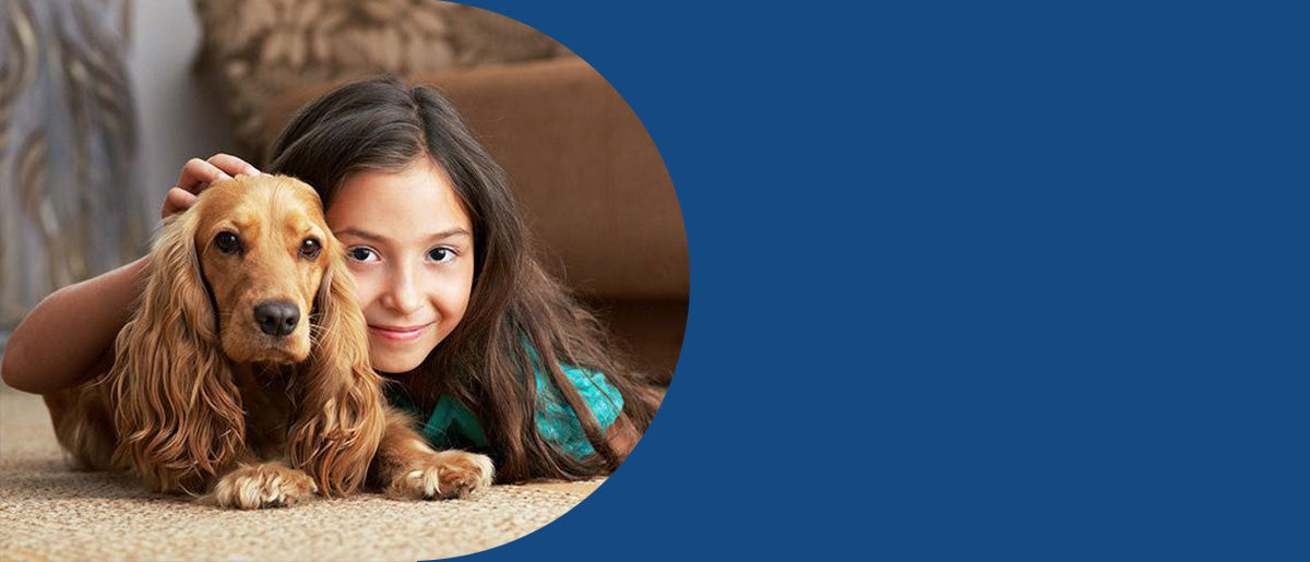 Beloved Pets: Natural products for your pets, FDA & USDA APPROVED#N ...