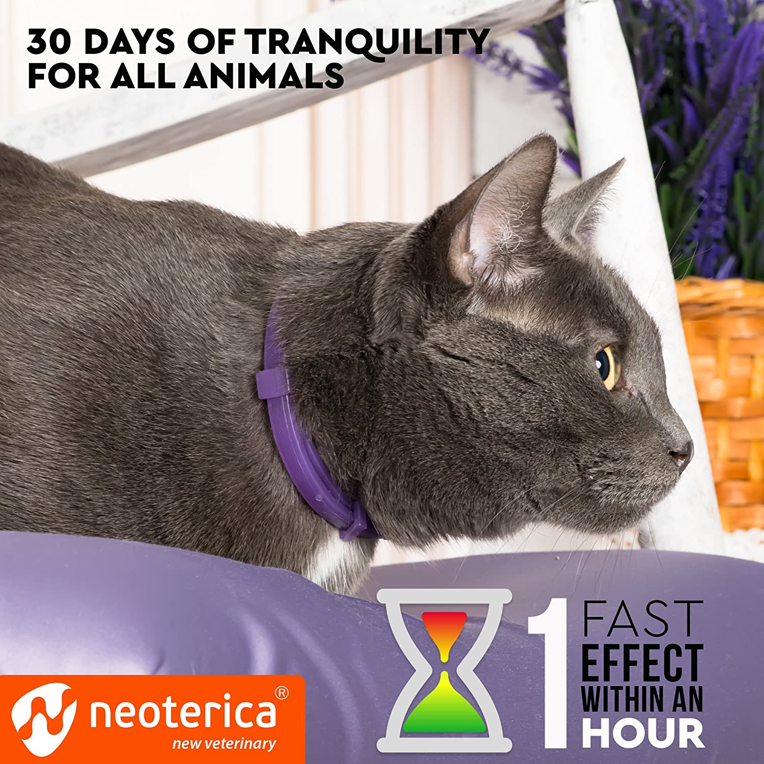 Relaxivet Calming Collar for Cats and Small Dogs - Reduce Anxiety Your ...